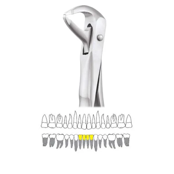 GDC Extraction Forceps Lower Roots – 74n Atraumatic (Afx74n) - Nutrident